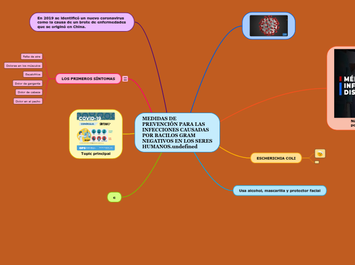 MEDIDAS DE PREVENCIÓN PARA LAS INFECCIONES...- Mind Map